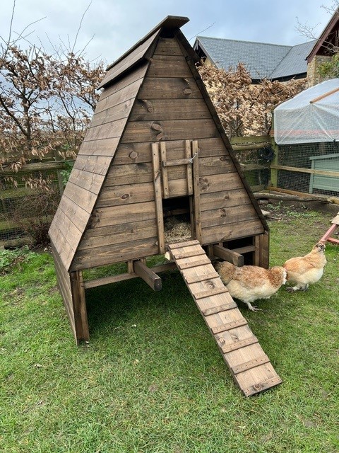 Large Dingle - Ark Style Chicken Coop - Smiths Sectional - Smiths ...