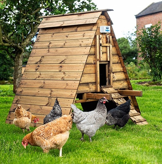 Wooden Poultry Houses and Handmade Chicken Coops for Sale UK - Smiths ...