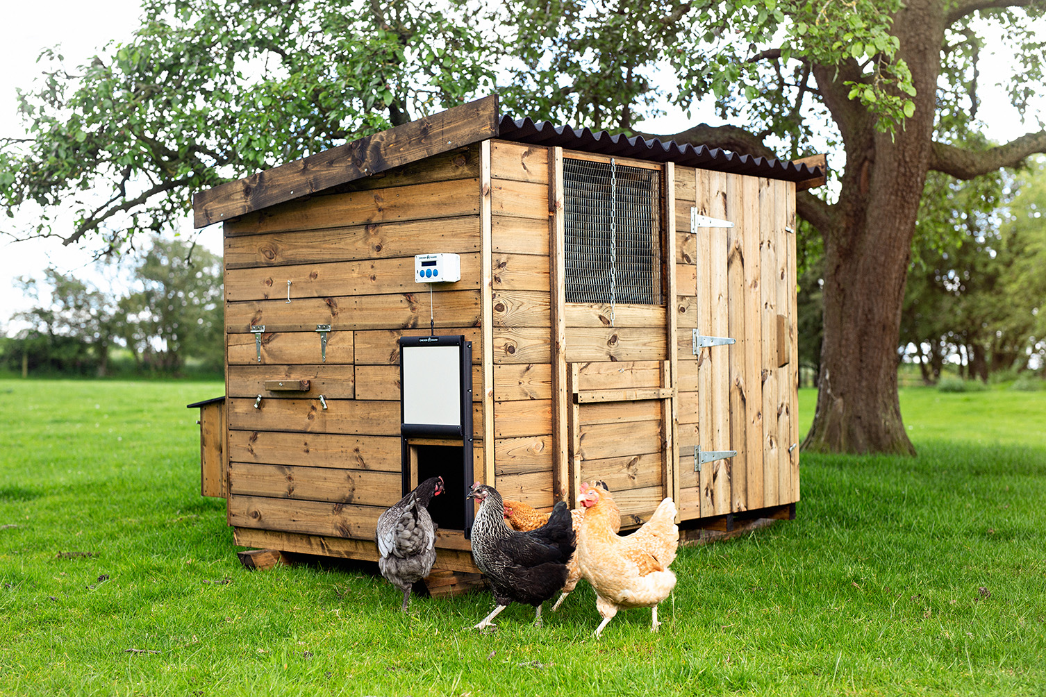The Sherwood Chicken Shed – Handmade Wooden Chicken Coop UK - Smiths ...